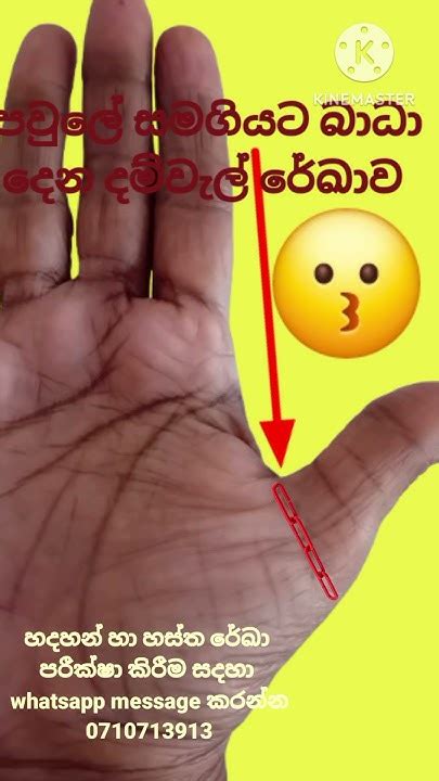 හස්ත රේඛා Youtube