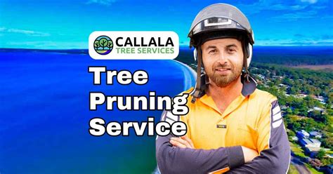 Worrowing Heights Tree Pruning Service Callala Tree Services 0433 711 200