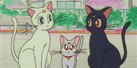 Sailor Moon 10 Underrated Artemis Episodes