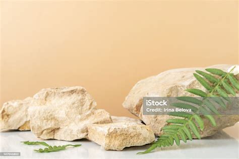 녹색 고사리 잎이있는 베이지 색 밝은 갈색 배경에 밝은 잔해 돌 모의 연단은 천연 유기농 화장품을 의미합니다 공간을 복사합니다 갈색에 대한 스톡 사진 및 기타 이미지