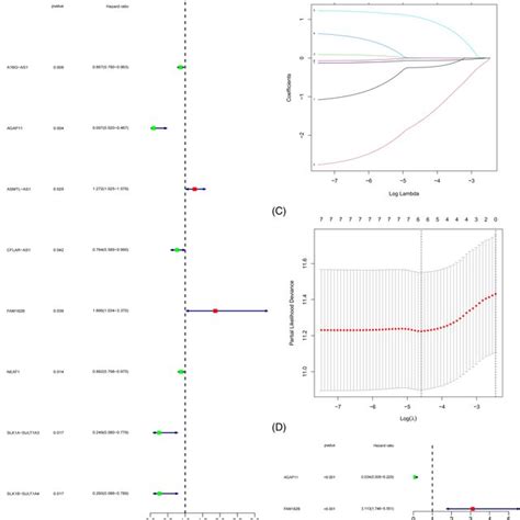 Cox And Lasso Regression Analyses For Determining The Model Genes A Download Scientific