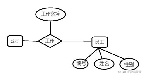 数据库设计（e R图以及关系模型的转换）根据数据库表画e R图怎么画 Csdn博客