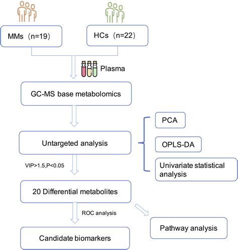 Gc Ms Based Untargeted Metabolic Profiling Of Malignant Mesothelioma Plasma Peerj