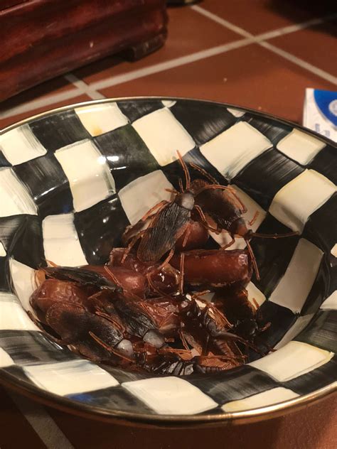 Edible Roaches Cream Cheese Stuffed Dates