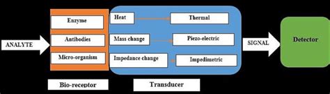 Schematic Representation Of Biosensor Components Download Scientific Diagram Schematic Representation Of Biosensor Components Download Scientific Diagram