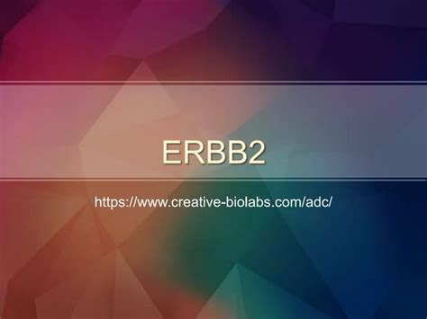 Her2 Adc Ppt