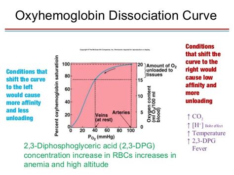 Chapter 16 Lecture 1