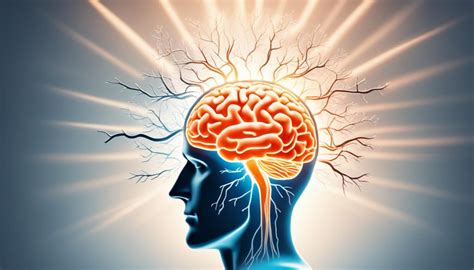 Which Part Of Your Brain Is Involved In Your Motivation