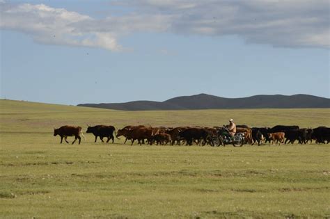 Төвийн аймгуудын нутгаар хур тунадас ирэх сард дунджаас ахиу орох төлөвтэй байна