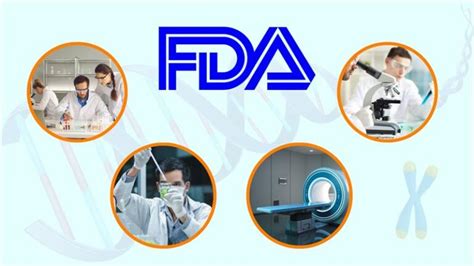 Difference Between 21 Cfr Part 11 And Eu Annex 11