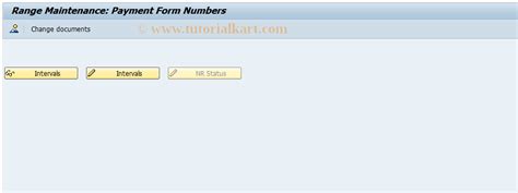 FPN SAP Tcode Number Range Maintenance FKKPYFORM