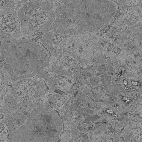 I16 Tiff Read With Fillorder2 · Issue 5249 · Python Pillowpillow