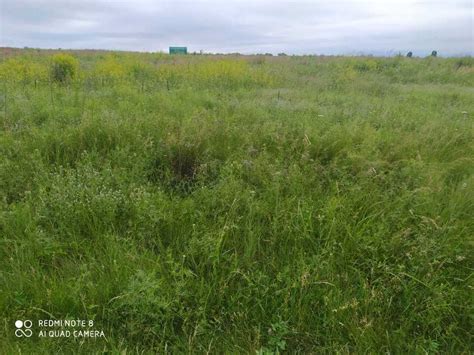 Земельна ділянка площею 2 га кадастровий номер 5922082600 02 001 1131 що знаходиться за