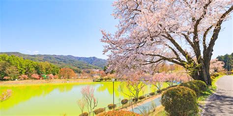 ホーム辰野町公式ホームページ