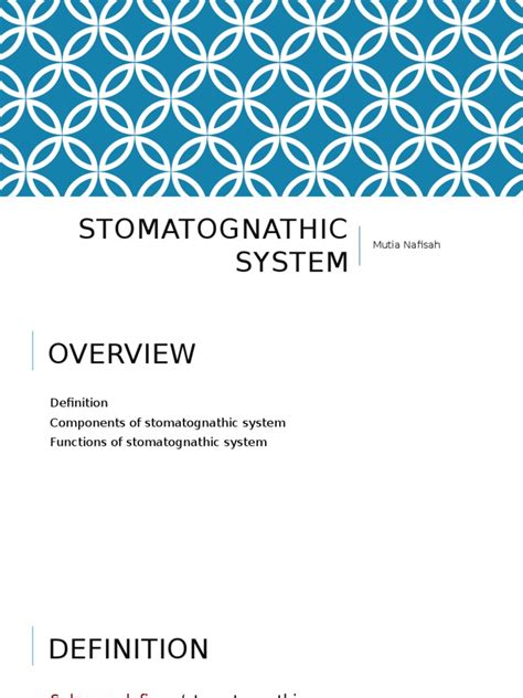 Stomatognathic System Pdf