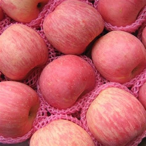 A Grade Kashmir Red Fuji Apple Packaging Type Plastic Bag At ₹ 220kg
