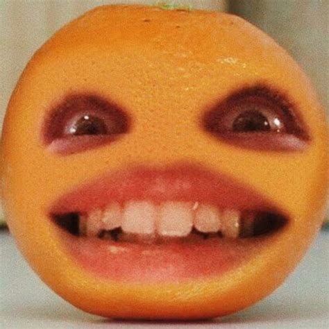 Contact Yango Creator And Influencer