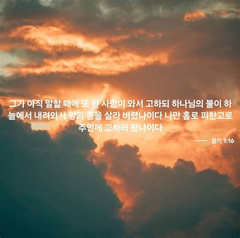 민기 욥기 1장 16 그가 아직 말하는 동안에 또 한 사람이 와서 아뢰되 하나님의 불이 하늘에서 떨어져서 양과 종들을 살라