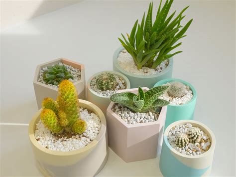 굴 껍데기로 만드는 Seaarte 오브제화분 텀블벅 크리에이터를 위한 크라우드펀딩