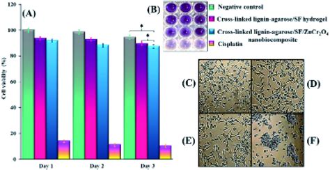 A Cell Viability Histogram Of Untreated Hu02 Cells Control Group Download Scientific