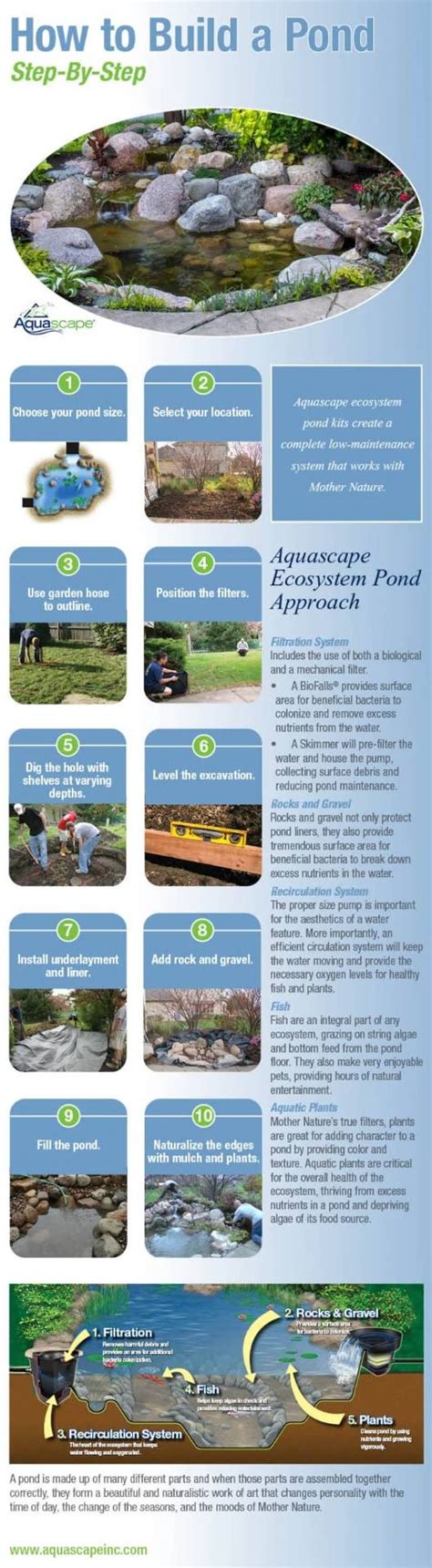 How To Build A Pond Step By Step Easy DIY Guide