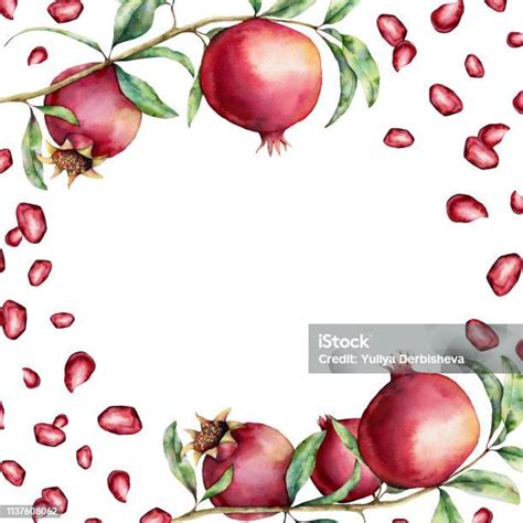 수채화 석류와 열매 광장 카드입니다 손 흰색 배경에 고립 된 나뭇잎과 지점에 가넷 과일 그린 디자인 인쇄를 위한 꽃 우아한 그림 가을에 대한 스톡 벡터 아트 및 기타 이미지