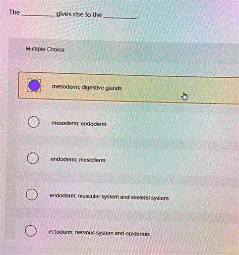 Solved The Gives Rise To The Multiple Choice Mesoderm Digestive Glands Mesoderm Endoderm