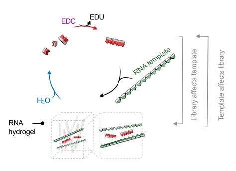 5 Year Anniversary Of Chemsystemschem Chemsystemschem Chemistry Europe