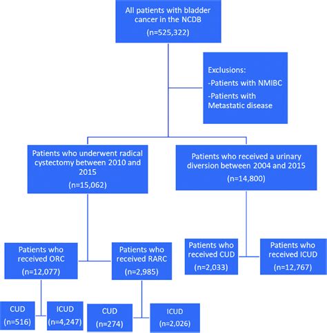 Population Selection Flowchart Download Scientific Diagram