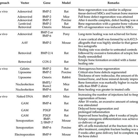 Gene Delivery Strategies For Ex Vivo And In Vivo Bone Regeneration