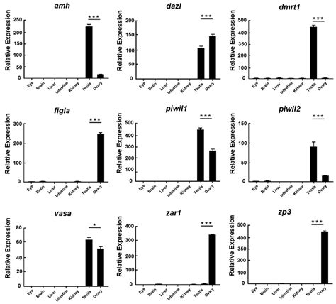 Integrated Mrna And Mirna Expression Profile Analysis Of Female And