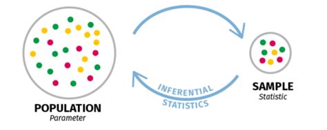 Biostatistics Flashcards Quizlet