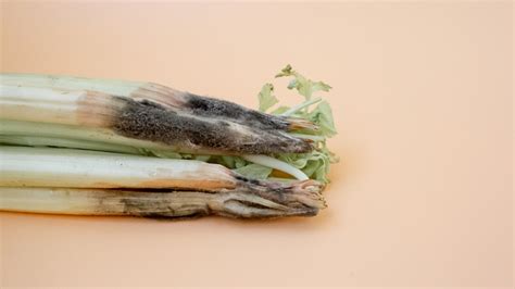 How To Tell If Celery Has Gone Bad Tasting Table 2025