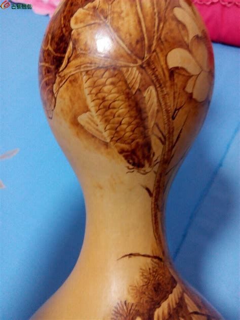 葫芦烙画荷花图片 葫芦上画的荷花鱼图片 葫芦上画荷花怎么画 大山谷图库