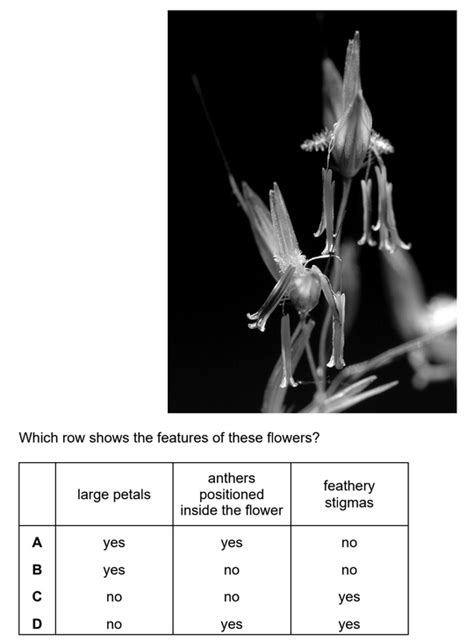 Igcse Biology 0610 16 3 Sexual Reproduction In Plants Igcse Style Questions Paper 1