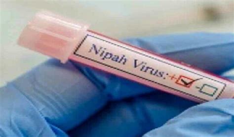 Nipah Outbreak Suspected In Keralas Malappuram Telangana Today