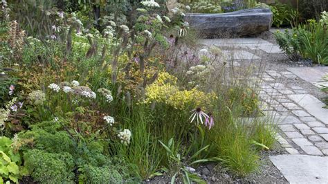 Best Grasses For Containers 5 Top Choices For Pots Homes And Gardens
