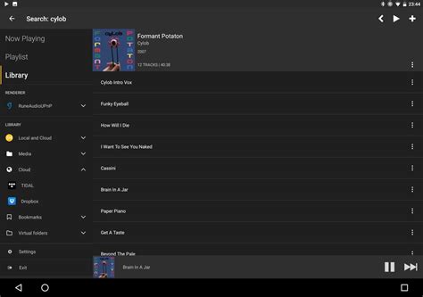 Building A Raspberry Pi Based Streamer A Guide For The Nervous