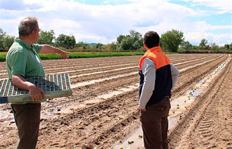 Reivindican La Puesta En Marcha De Una Ley De Agricultura Y Ganadería