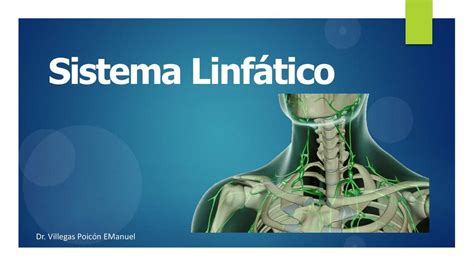 El Sistema Linfático Emanuel Ville Udocz