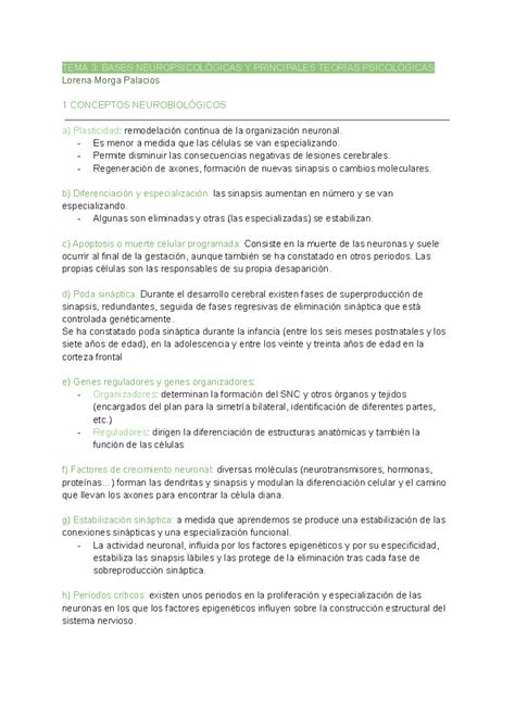 Tema 3 Bases Neuropsicológicas Y Principales Teorías Tema 3 Bases