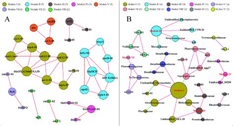 Network Analysis Revealing A Co Occurrence Patterns Among Args And