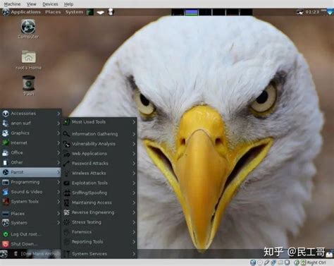 10 大白帽黑客专用的 Linux 操作系统 知乎