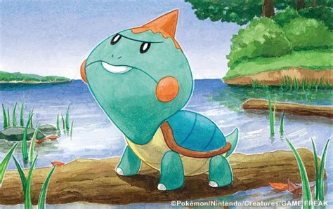 Chewtle Pokémon Sword Shield Zerochan Anime Image Board