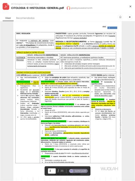 Citologia E Histologia General Pdf Pdf