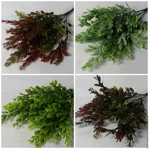 Виды зелени для букетов 87 фото