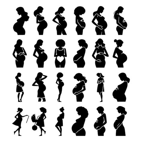 Pregnant Belly Outline Clipart