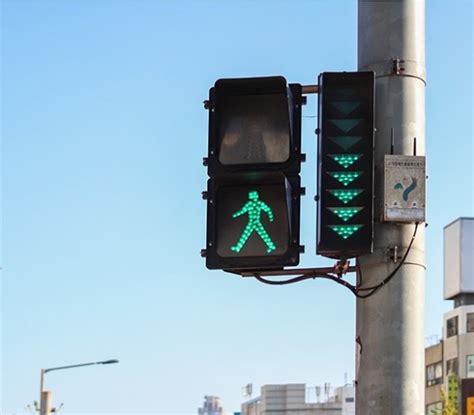 Modelling Object Detection Dataset And Pre Trained Model By Modelling