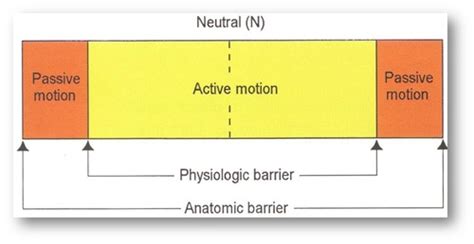 Omm 1b Somatic Dysfunction Flashcards Quizlet
