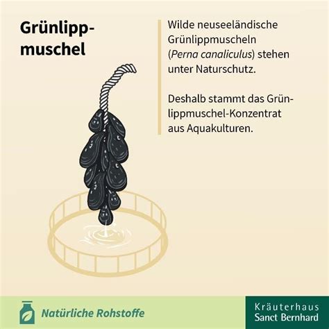 Sanct Bernhard Green Lipped Mussel Balm 150 Ml Joint And Muscle Relief